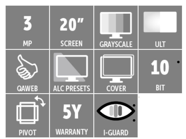 Dual Head 3MP Barco Nio Grayscale Display – E-3620 / K9601653 - Medical ...